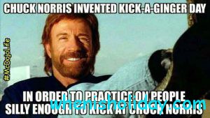 National Kick a Ginger Day in 2025 (November 20): Facts, Traditions ...